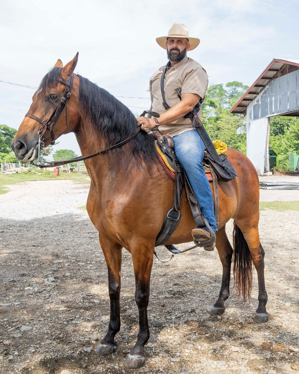 The Real Grey Man Theory: the Art of Changing Perceptions – Bone ...